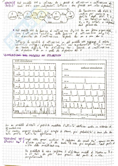 Computational Neuroscience