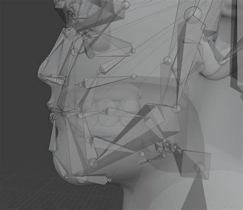 Add On Rigify Face Rigging Isues Blender Stack Exchange
