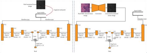 Training The Domain Consistency Network Download Scientific Diagram