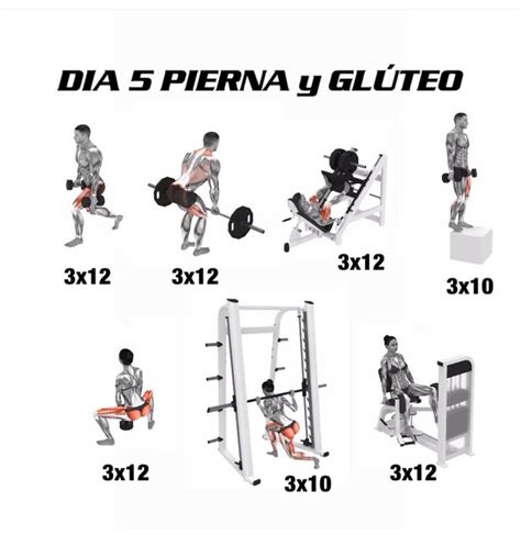 Rutina Del Gym En 2025 Rutinas De Entrenamiento Semanales Rutinas