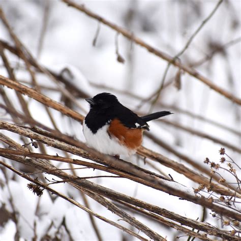 Mentor Marsh Mentor Marsh Added A New Photo