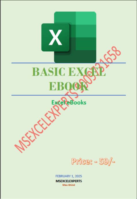 Basic Excel Ebook