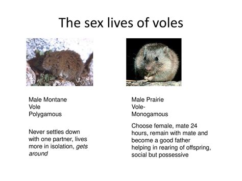 Processes That Drive Evolution Ppt Download