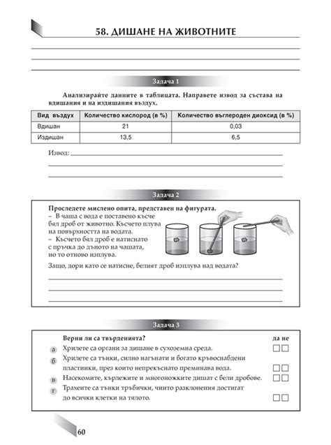 Тетрадка по човекът и природата за 5 клас