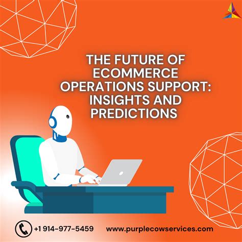 The Future Of Ecommerce Operations Support Insights And Predictions