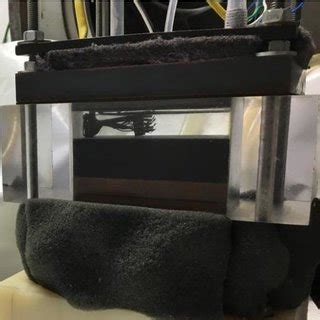 Structure Of Test Cell Download Scientific Diagram