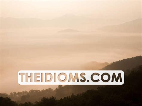 Gray Matter Meaning Origin Example Sentence History