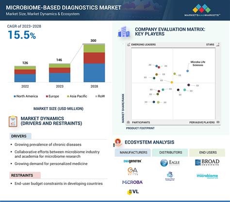 Microbiome Diagnostics Market Growth Drivers And Opportunities