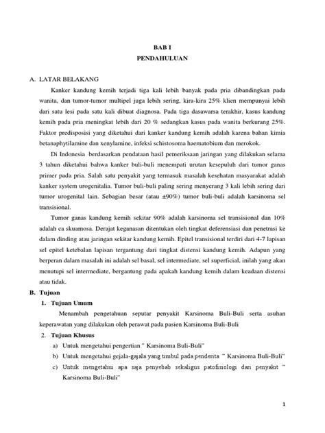 Karsinoma Buli Buli Gejala Dan Asuhan Keperawatan Pdf Pengembangan Diri Sains And Matematika