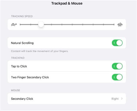 Here Are The Best Mouse Or Trackpad Settings For IPads So Scrolling Isnt Terrible Justin Harter
