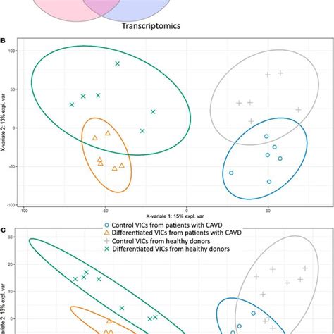 Comparison Of Proteomic And Transcriptomic Profiles Of Human Valve