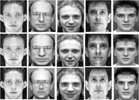Partial Grayscale Original Sample And Virtual Sample Of Orl Face