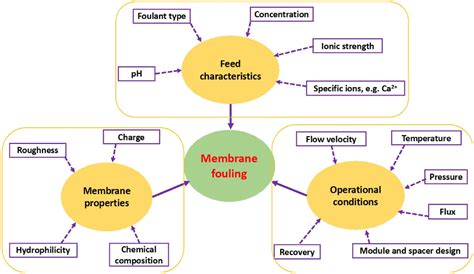 Fouling In Reverse Osmosis Membranes Monitoring Characterization