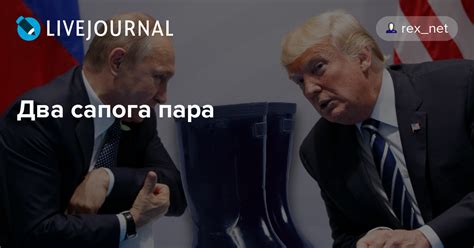 Два сапога пара Rex Net — Livejournal