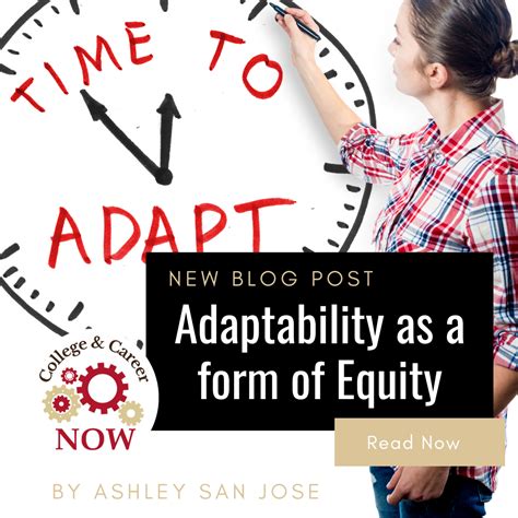 Adaptability As A Form Of Equity College Counseling Now