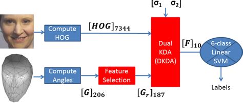 a the 3d face mesh model utilized in 3d feature extraction b the