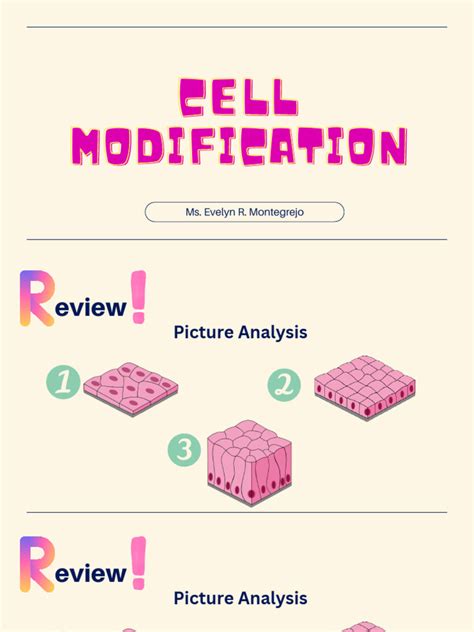 Cell Modification Pdf Pdf