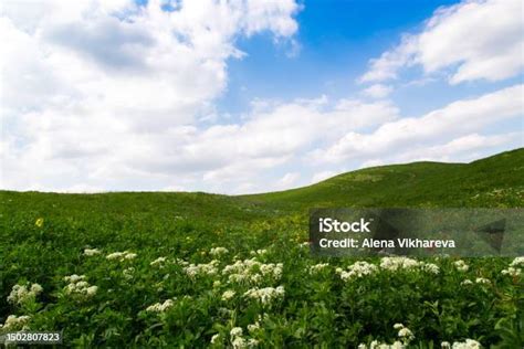 아름다운 봄과 여름 풍경 푸른 언덕 사이의 산악 시골 길 밝은 녹색 잔디입니다 경관에 대한 스톡 사진 및 기타 이미지 경관 계곡 고요한 장면 Istock