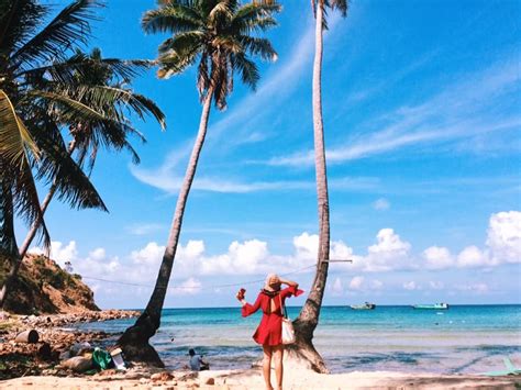 “chiêm Ngưỡng” Trọn Vẹn Vẻ đẹp Bãi Cây Mến Trên đảo Nam Du Viet Fun