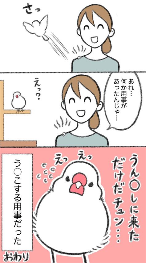 「漫画「イライラしちゃう」 」鳥野ニーナ＠小鳥大好きおじさんの漫画