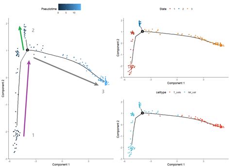 单细胞5 拟时序分析 腾讯云开发者社区 腾讯云