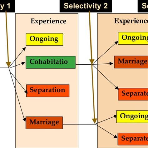 Experience And Selectivity Processes And Stages Download Scientific