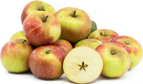 Baldwin Apples Information And Facts