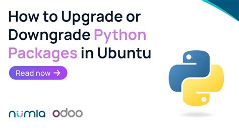 How To Upgrade Or Downgrade Python Packages In Ubuntu Numla