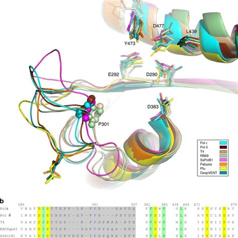 Structural Superimposition And Sequence Alignment Of Exonuclease Download Scientific Diagram