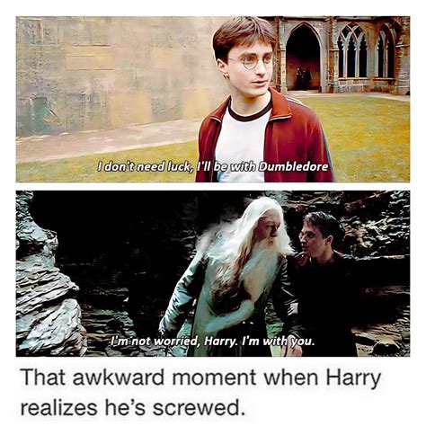 Harry Potter Memes Dumbledore