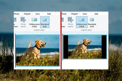 How To Remove Black Bars From A Video 5 Best Ways