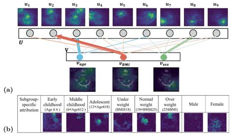 Explainable Integrative Bipartite Graph Convolutional Neural Network
