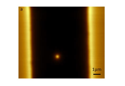 Single Vortex Pinning Zeldov Group