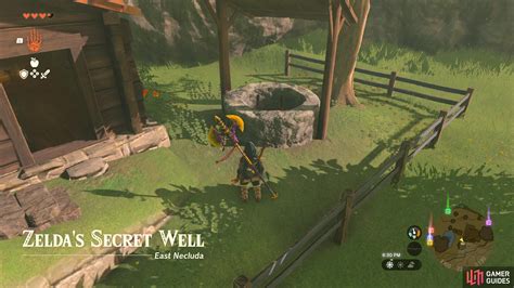 Zeldas Secret Well The Legend Of Zelda Tears Of The Kingdom