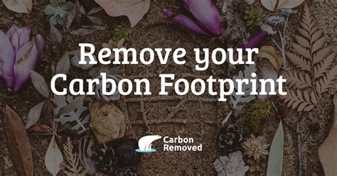 Show Vue Last Weekend I Had The Joy Of Embedding Vuejs Into A Hugo