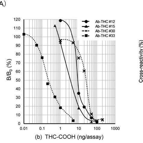 In Vitro Affinity Maturation Of Antibodies Download Scientific Diagram