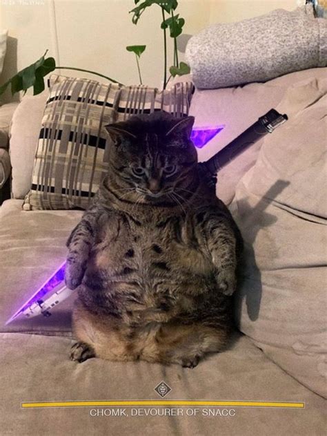 Pin By Sierrah Block On Destiny Destiny Game Destiny Comic Cute