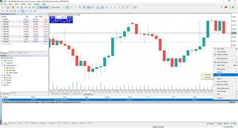 How To View Profits As Points Or Pips In Mt5 Blackbull Markets