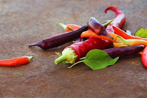 신선한 다 색된 유기 핫 칠리 또는 쓴 고추입니다 불타는 맛 있는 양념 유기농 야채의 관대 한 컬렉션입니다 선택적 초점 텍스트에 대 한 공간입니다 Paleodieta 0명에