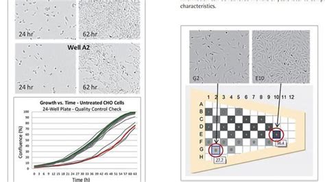 Cell Culture Quality Control Assay Technology Networks