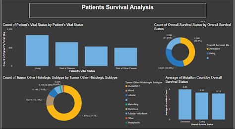 create power bi excel and tableau dashboard and data visualization by