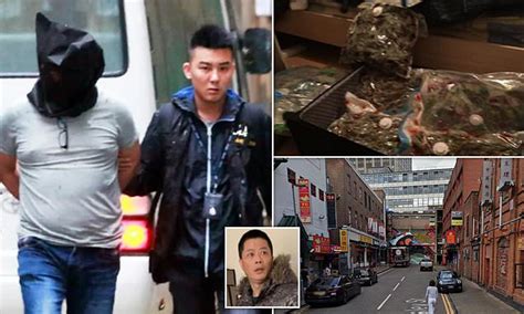 Inside The Triads Grip On Our Streets How Chinese Gangsters Run