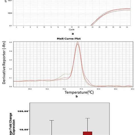 Transcriptomic Expression Analysis Of N Ras Gene In Forty Two Nmibc And