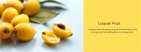 Loquat Fruit Health Benefits Uses And Important Facts Potsandpans