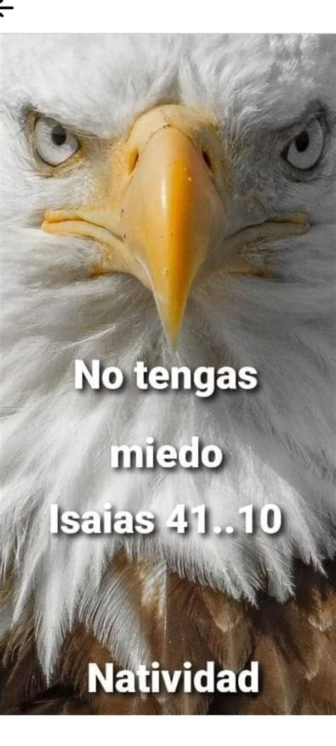 Pin De Natividad Rivera En Linea De La Biblia Isaías 4110 Palabra De Vida Frases Bonitas