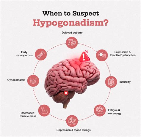 Hypogonadism And Hormonal Health When Should You Suspect A Deficiency