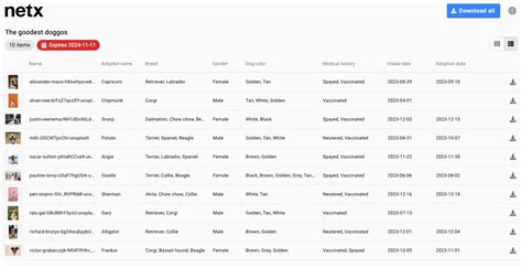 Sharing Assets Customer Support