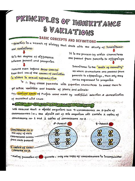 Botany Principle Of Inheritance Pdf