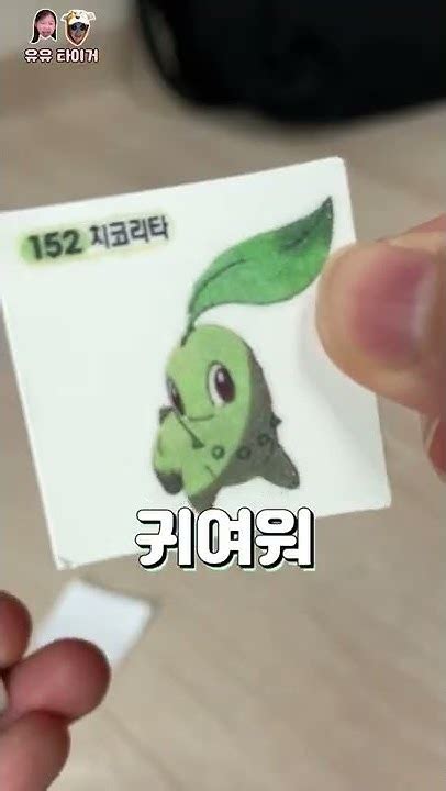 포켓몬뽑기에서 2세대 띠부씰 나옴 Youtube