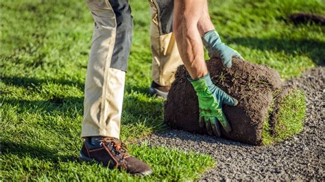 9 Steps To Maintain Artificial Grass — Ecograss